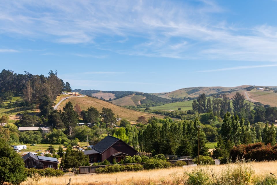Sebastopol, CA Real Estate | Explore Homes & Lifestyle
