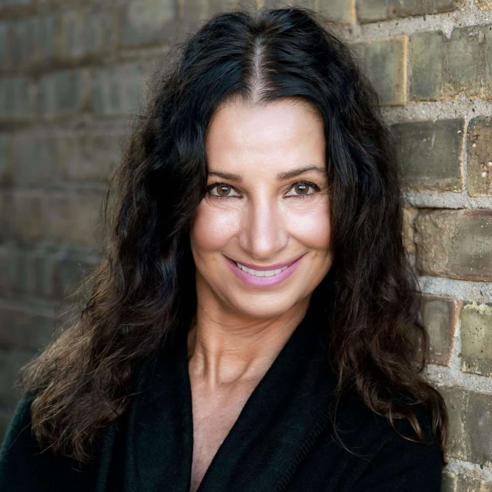 Lisa Wenzel Downers Grove Real Estate Agent – Discover Your Dream Home