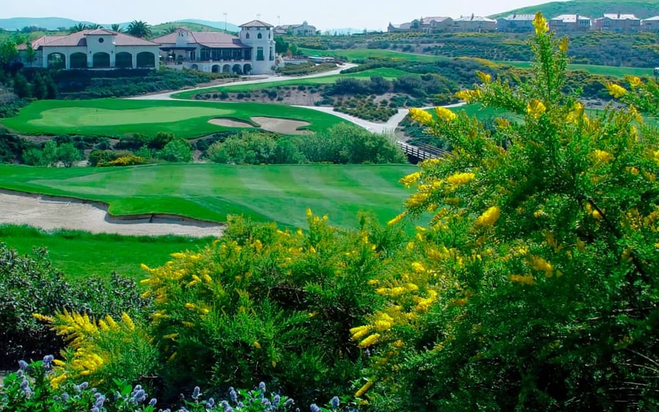 San Ramon | Neighborhood Guide