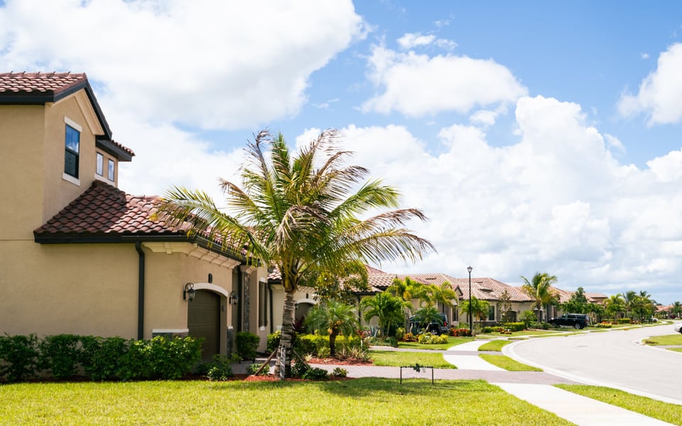 Valencia del Sol | Development | Flo Vachon Team