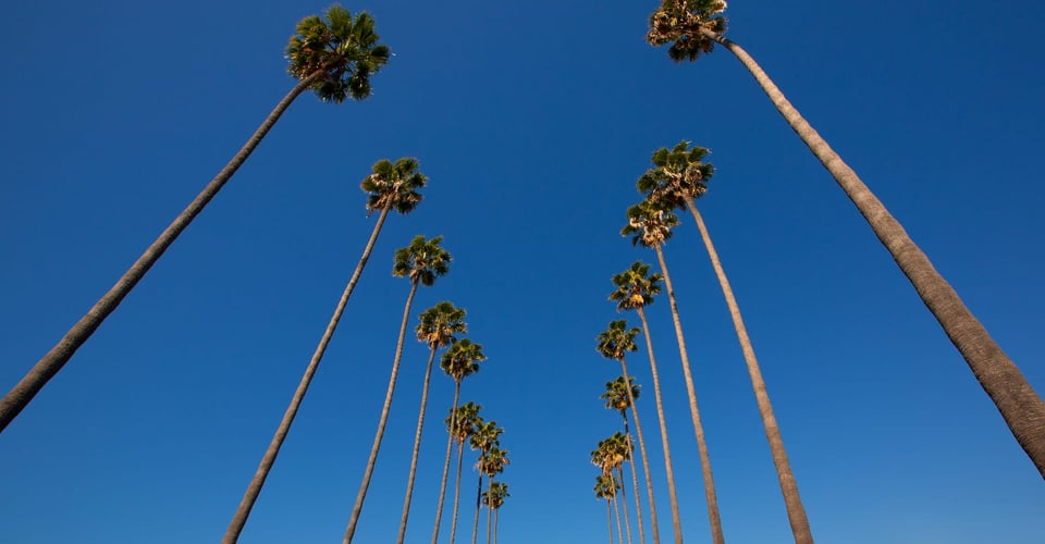 Arlene Rutenberg: Top Rated Holmby Hills Luxury Real Estate Agent ...