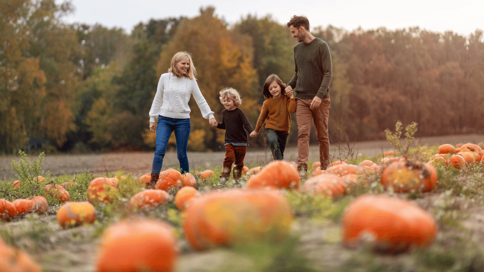 Guide to the best fall activities in Colorado | Front Range Real Estate