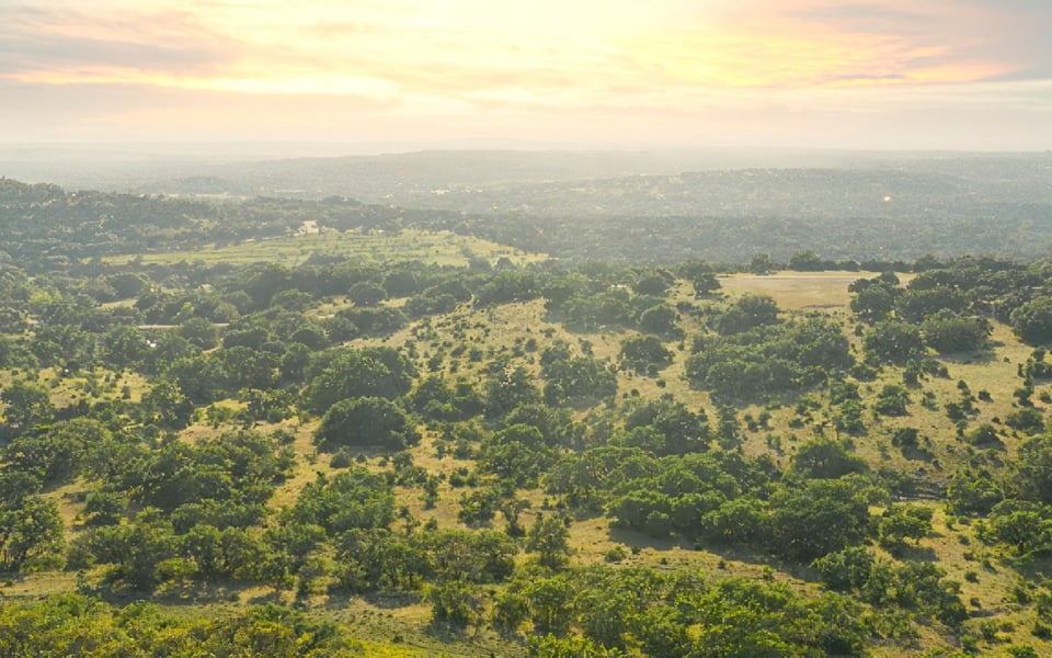 The Top Attractions in Bee Cave For Locals or Tourists | Blog | Dicker ...