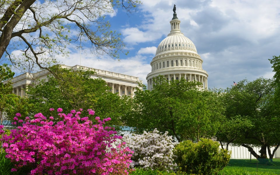 Capitol Hill | Area Guide