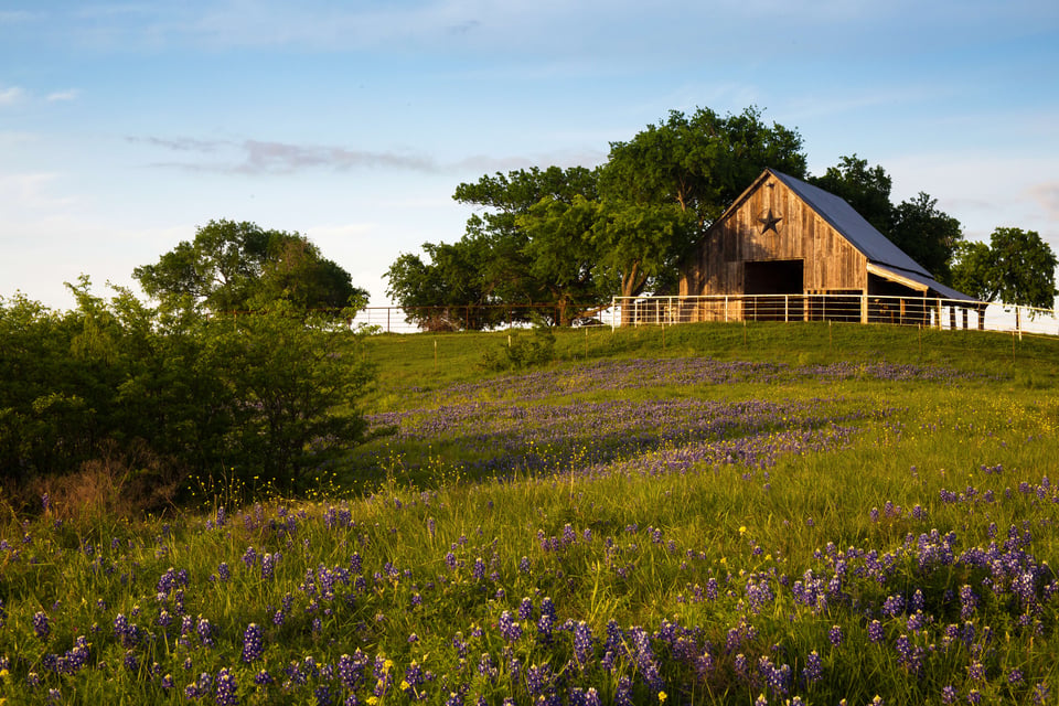 Taylor, TX Real Estate: Discover Small-Town Living
