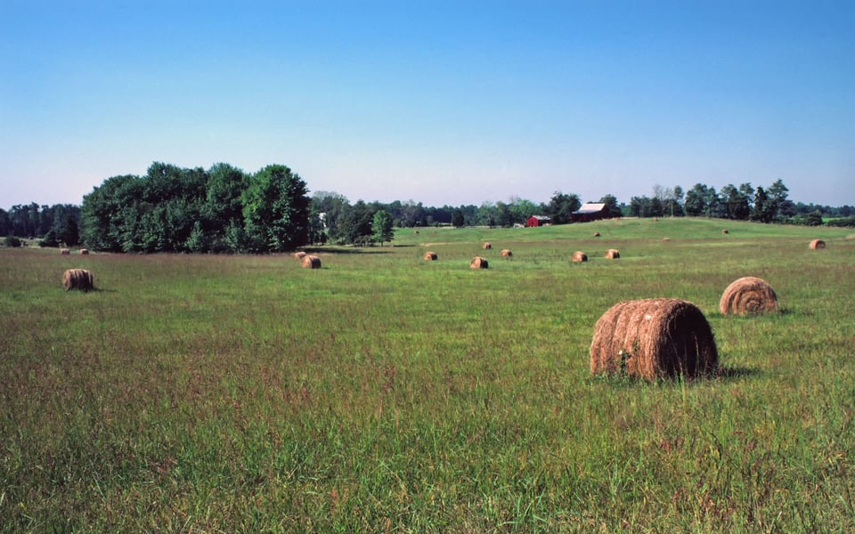 Stafford | Area Guide