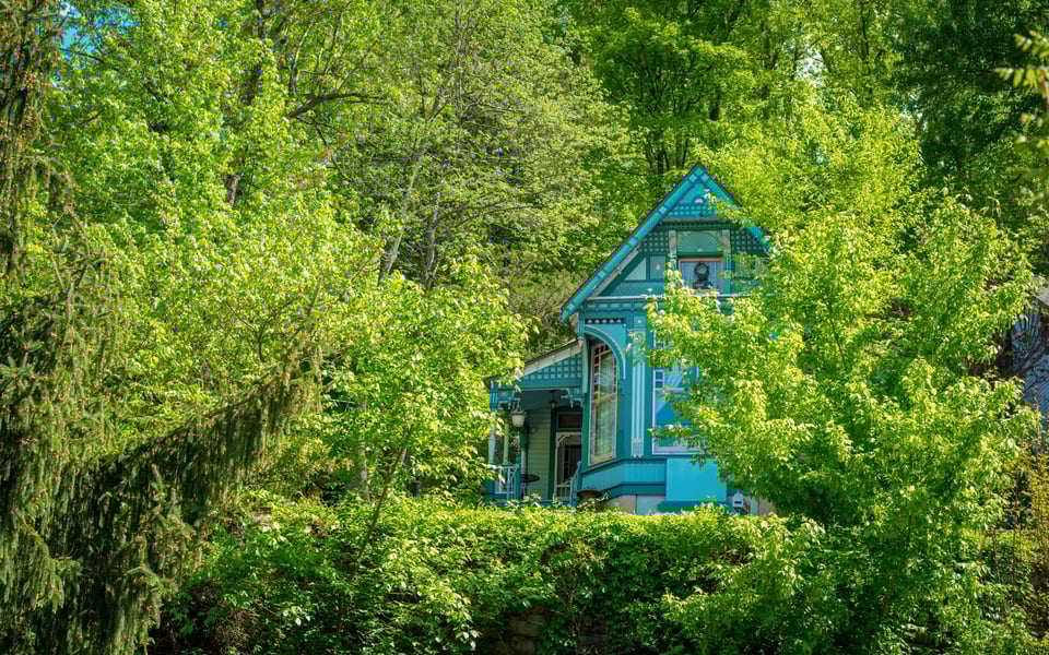 Springdale | Neighborhood Guide