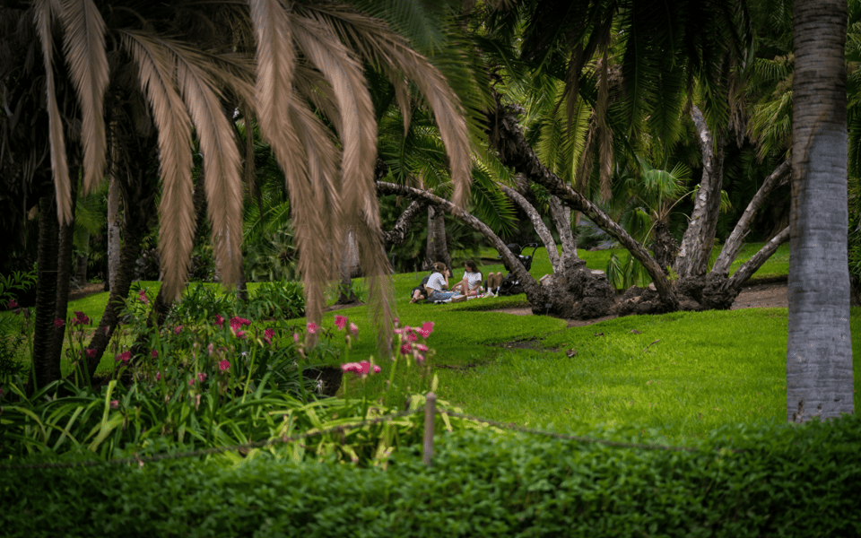 A Guide to San Marino Parks | Blog | Amy Engler