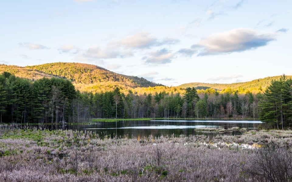 Windham Real Estate & Neighborhood Guide | Key Team | Key Team | Compass