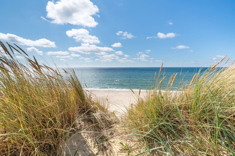 North Sea | Neighborhood Guide