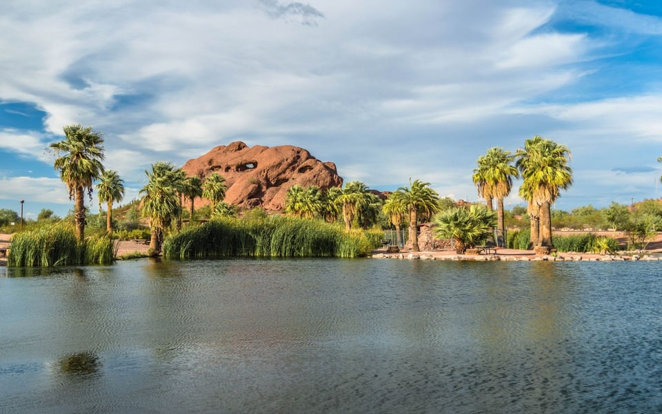 Your Guide to Desert Oasis Of Surprise, AZ | Michelle Kirsch