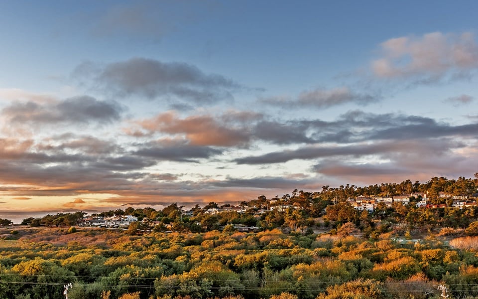 Santa Rosa | Neighborhood Guide