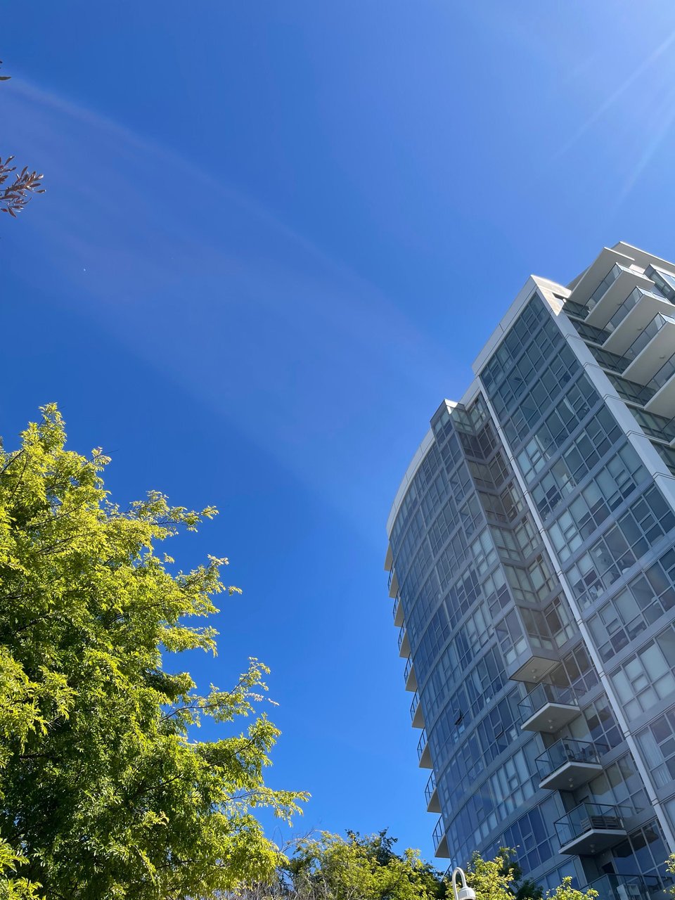 Condos vs. Single-Family Homes in San Francisco: Find Your Perfect Fit