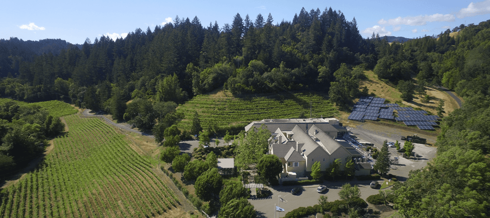 Visit Forestville - Sonoma County | Excellerate Real Estate