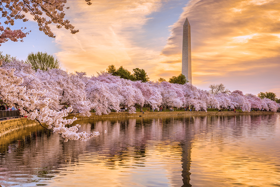 5 Events Happening in D.C. This Spring | David Hatef
