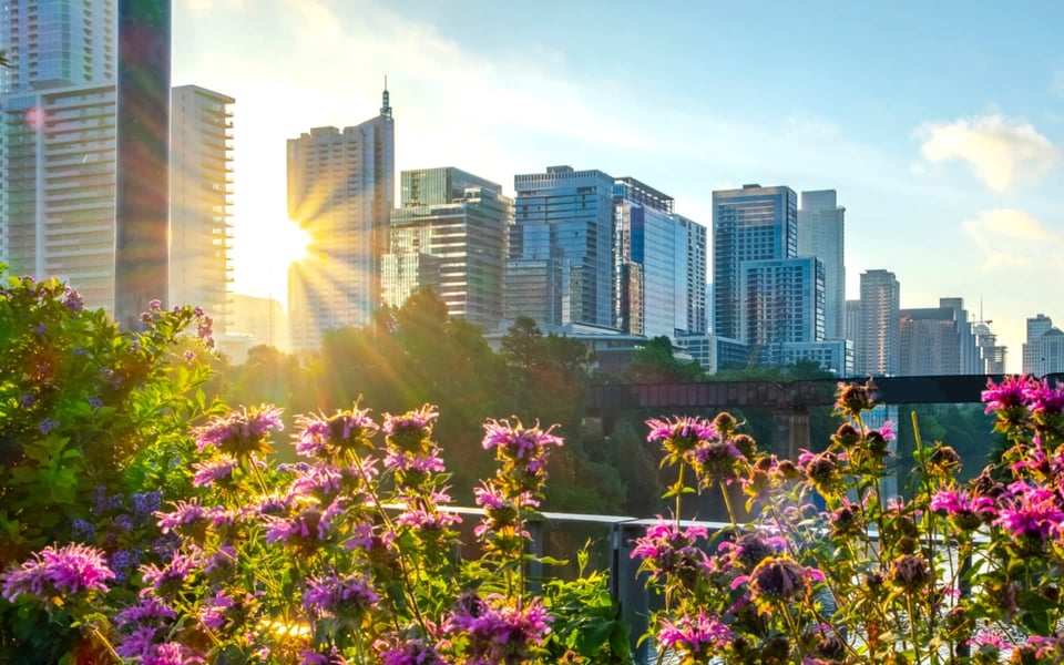 Upcoming Spring Events in Austin | Moreland Properties