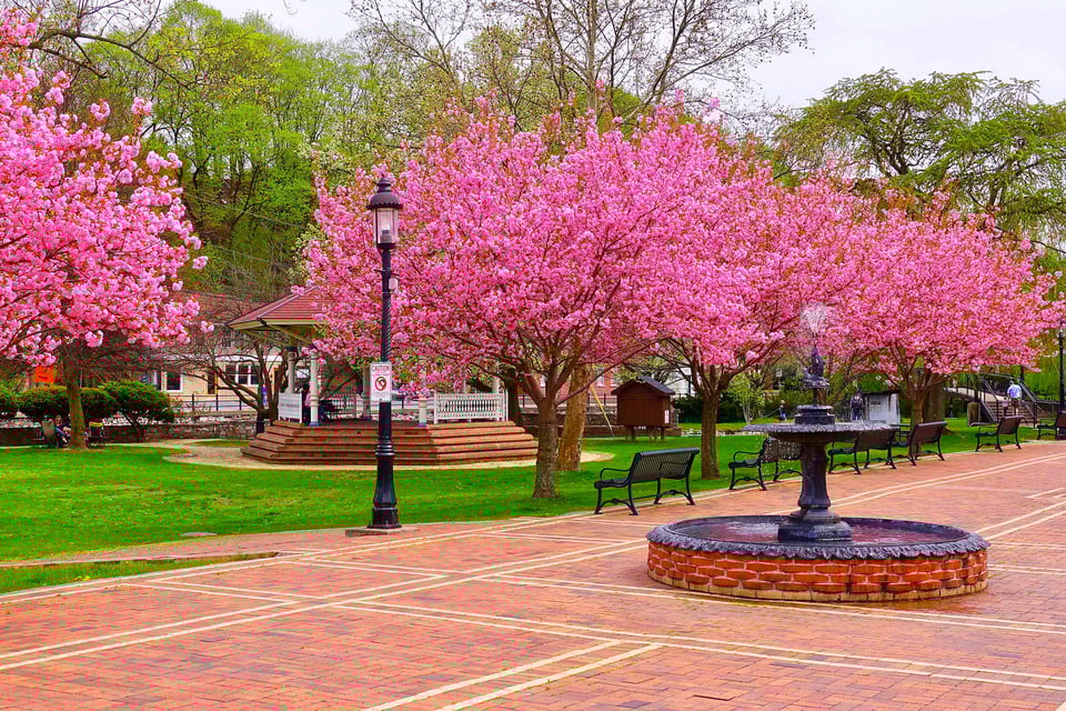 Bellefonte, PA Neighborhood Guide | Ryen Realty, LLC.