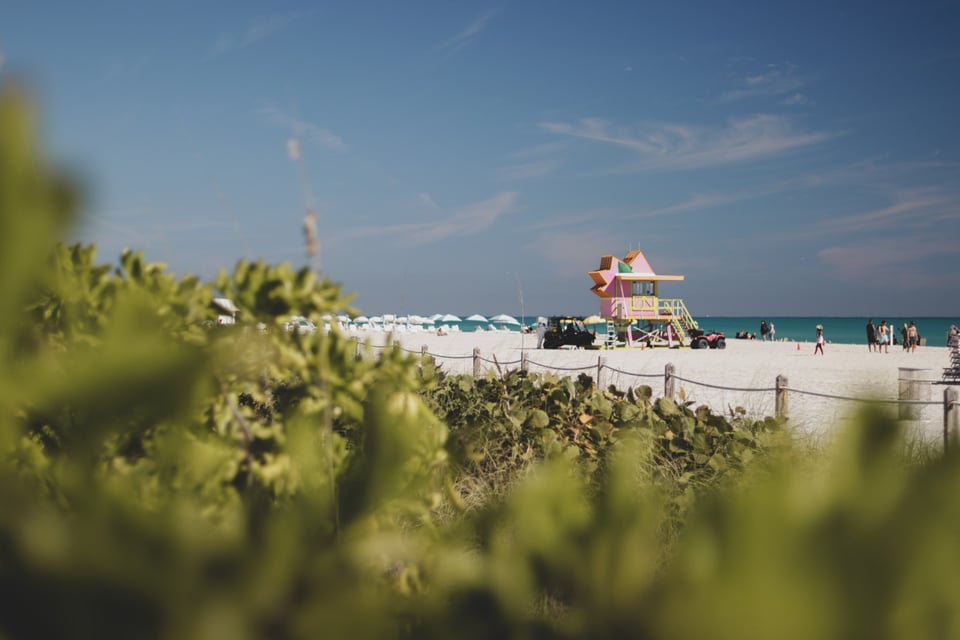 Delray | Neighborhood Guide