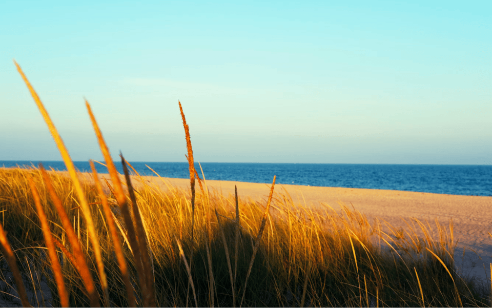 Things to Do in the Hamptons, NY | Blog | Debbie Quigley