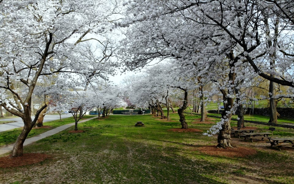 Wilmington Area | Neighborhood Guide | Vicki Feeney | Delaware and ...