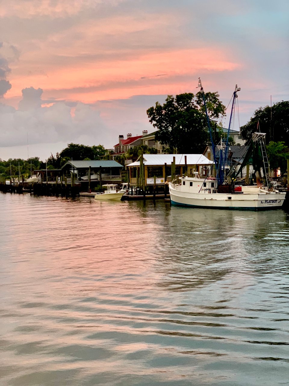James Island SC Neighborhood Guide | Tricia Peterson