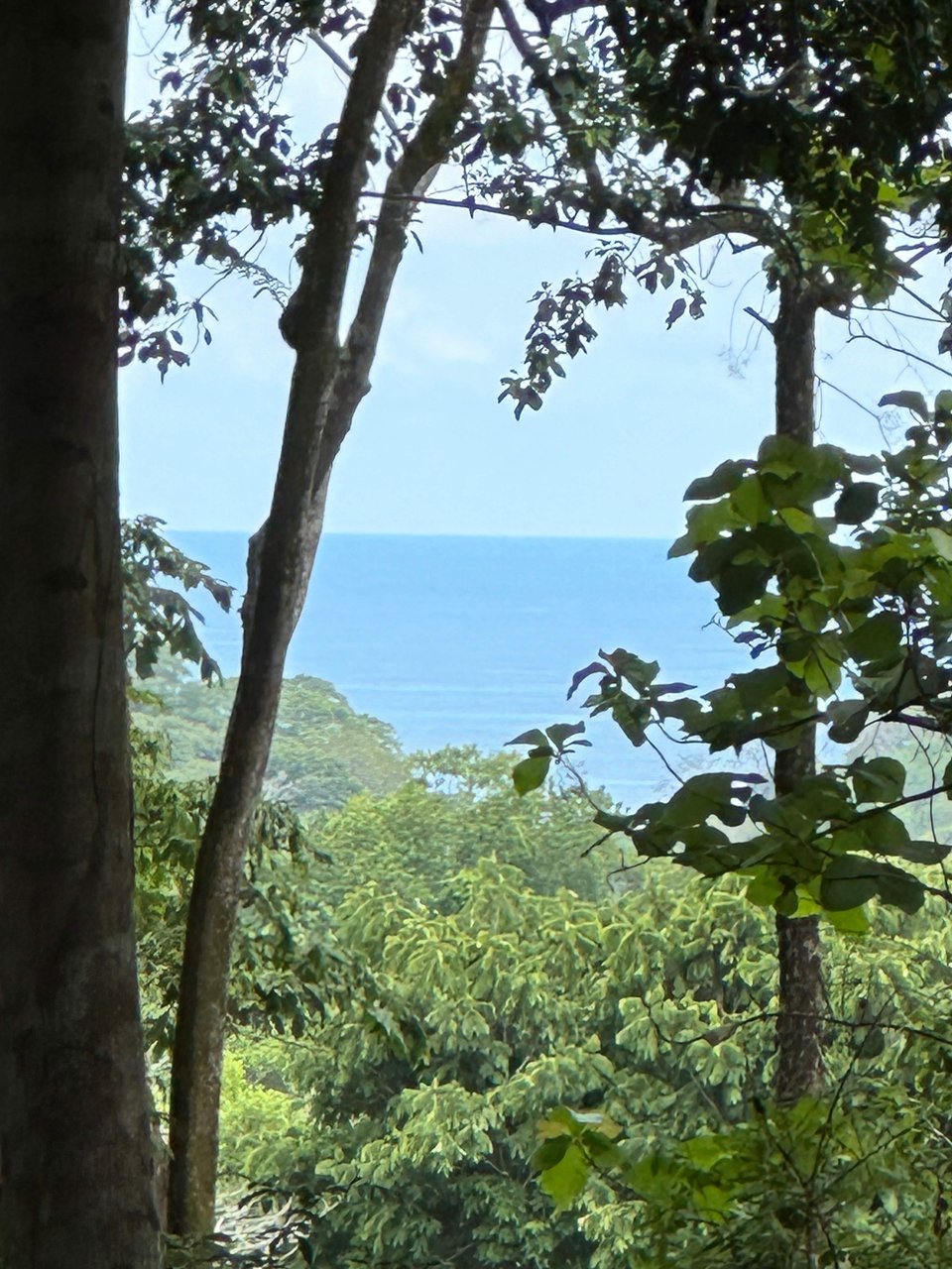 Tranquil Oasis: 8.8 Acres of Pristine Paradise in Dominicalito, Costa Rica