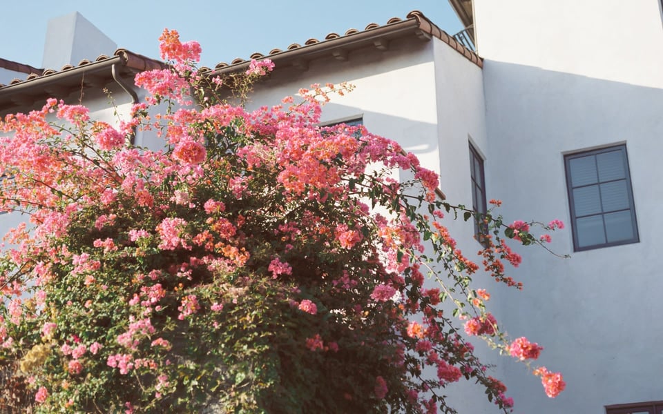 redwood-city-ca-neighborhood-guide-david-kelsey