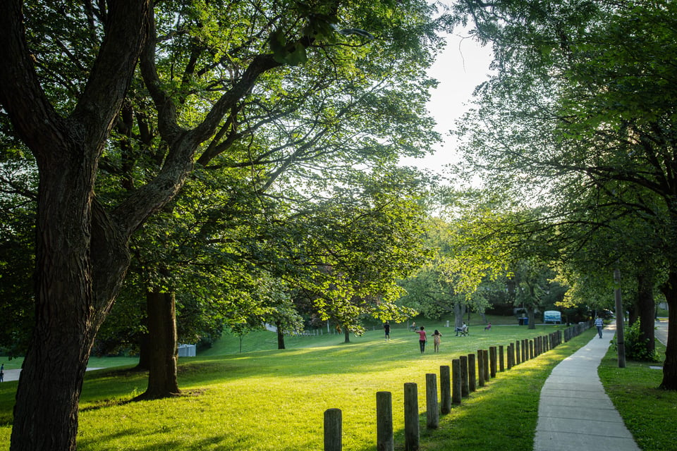 Henry Farm | Neighbourhood Guide | Davor Filipovic