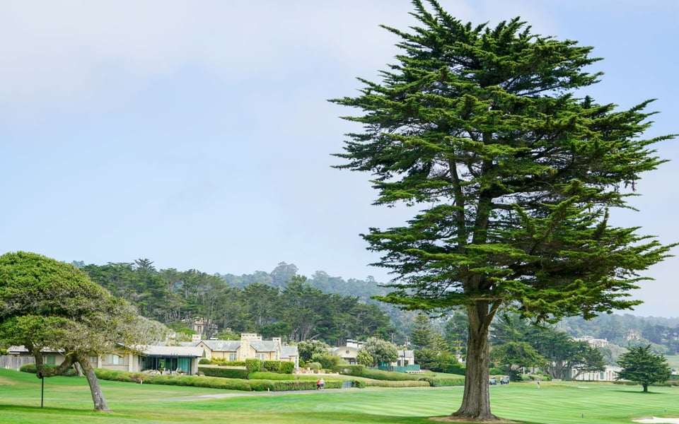Pebble Beach, CA Real Estate – Explore Luxury Homes
