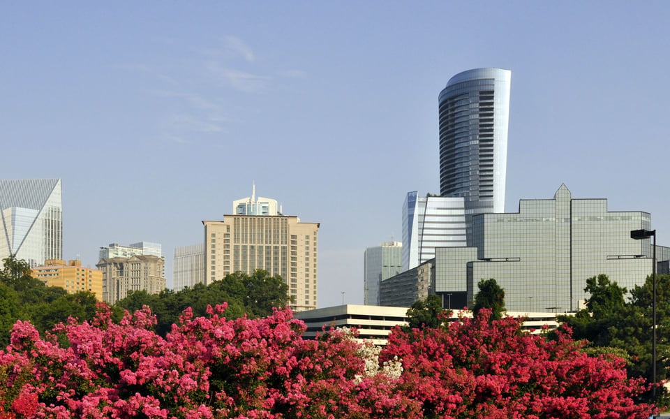 Buckhead Real Estate & Neighborhood Guide | David Pruett