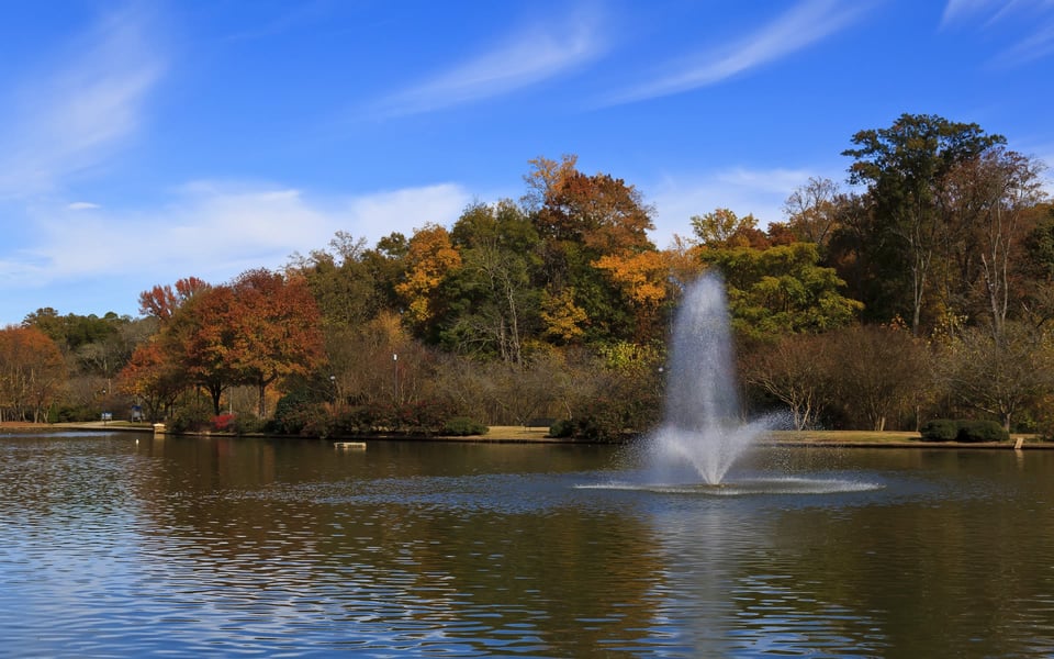 Myers Park | Neighborhood Guide