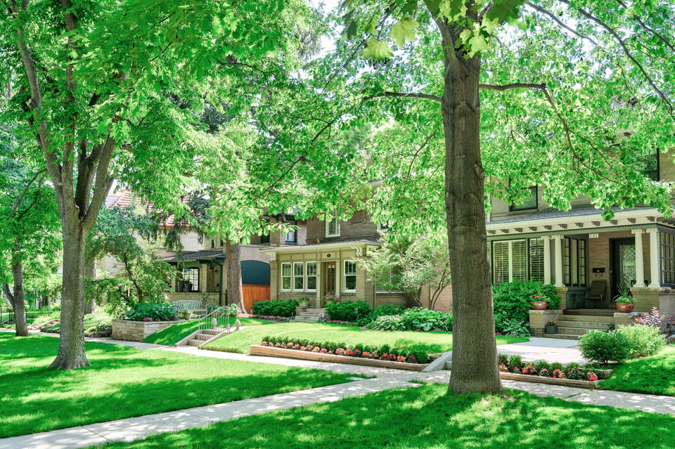 A Guide to Congress Park | Blog | Sara Wilhelm