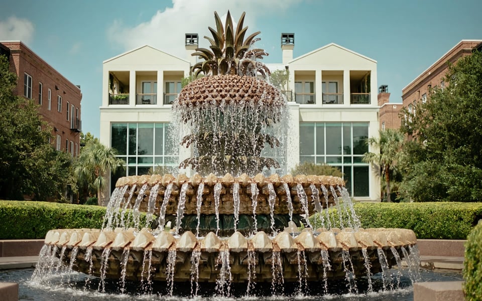 A Guide to Charleston, SC, Parks | Blog | Katherine Cox + Co.