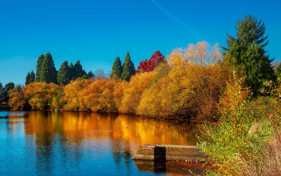 Greenlake | Neighborhood Guide | Candace Hagen | Seattle Real Estate Expert