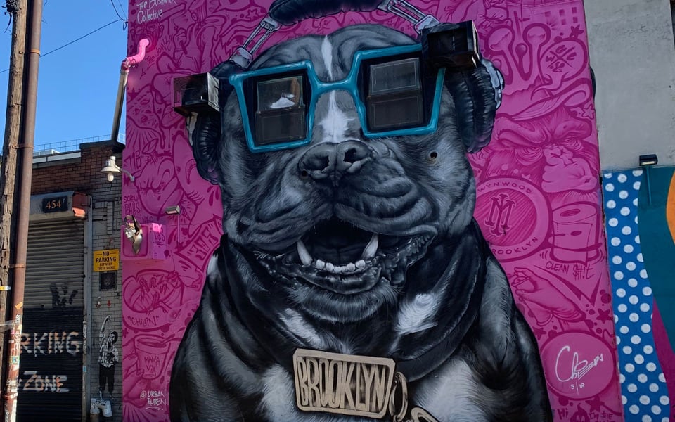 Bushwick - Brooklyn | Community Guide | Sara Mcneil