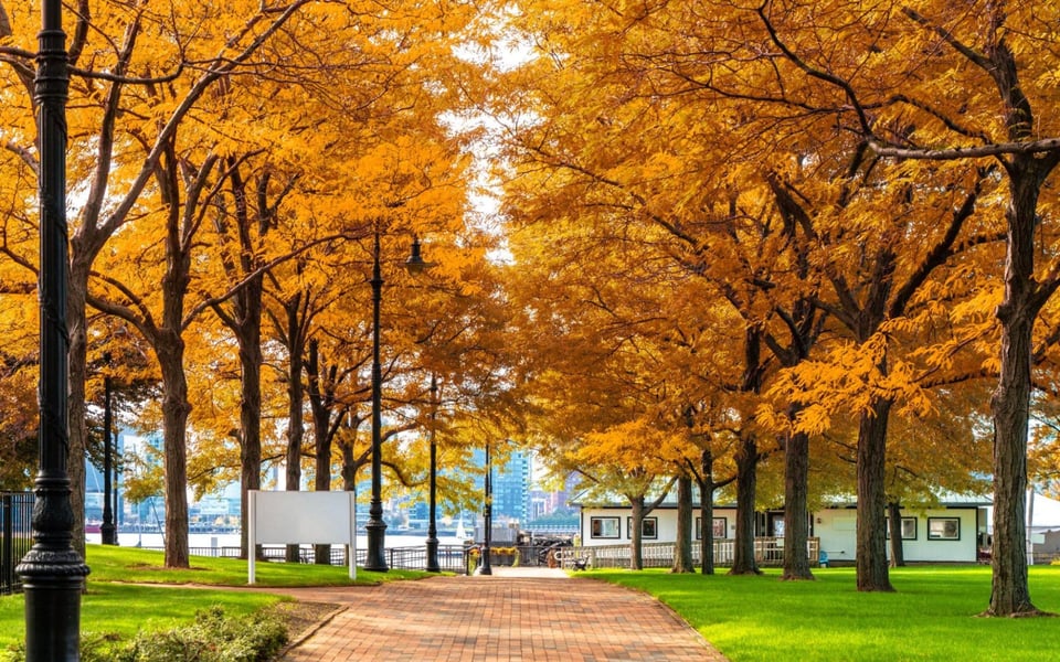 Best Places to View Fall Foliage Near Cambridge | Blog | Sandrine ...