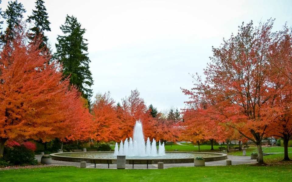 Redmond Real Estate | Luxury Homes & Neighborhood Guide