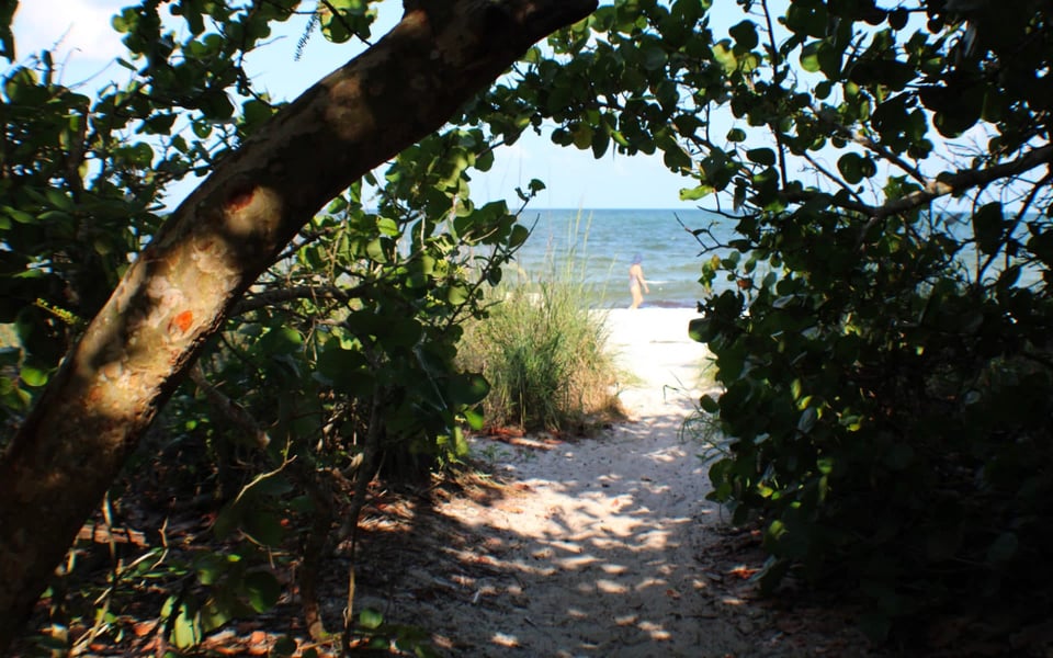 Best Family-Friendly Activities in Naples | Blog | Brian K. Rigsby and ...