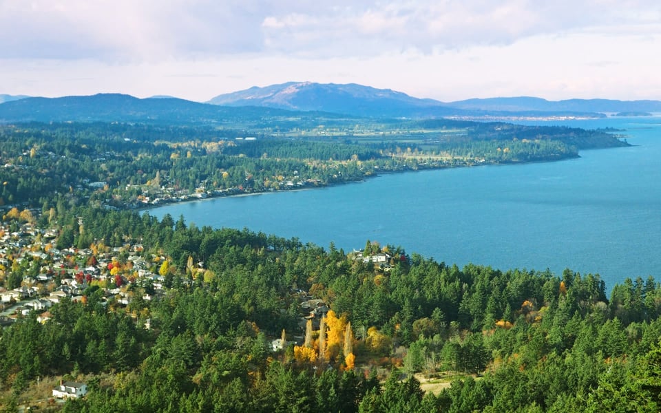 Saanich East | Neighbourhood Guide