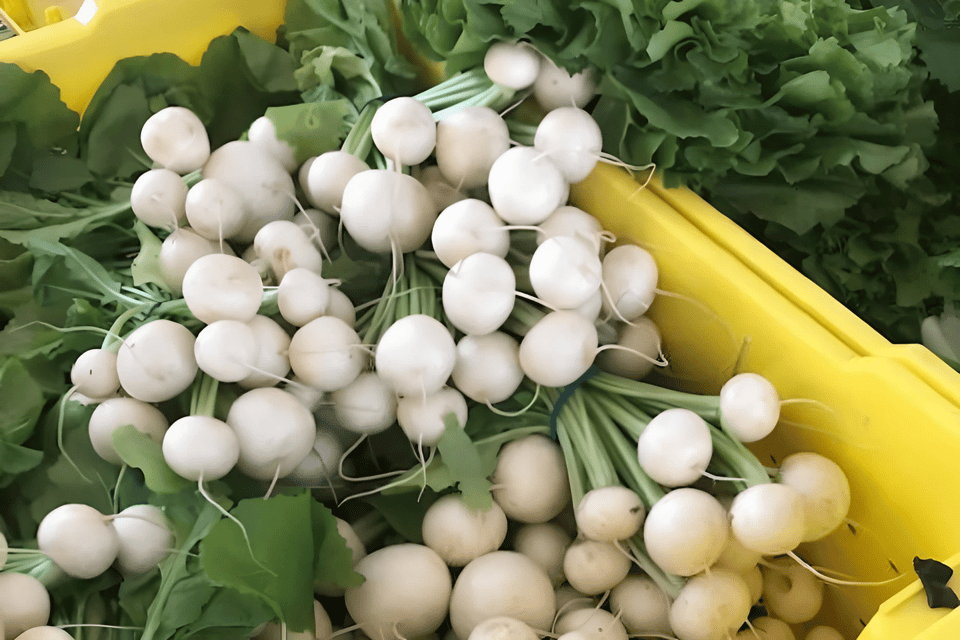 Headhouse Square Farmers Market Philadelphia Guide