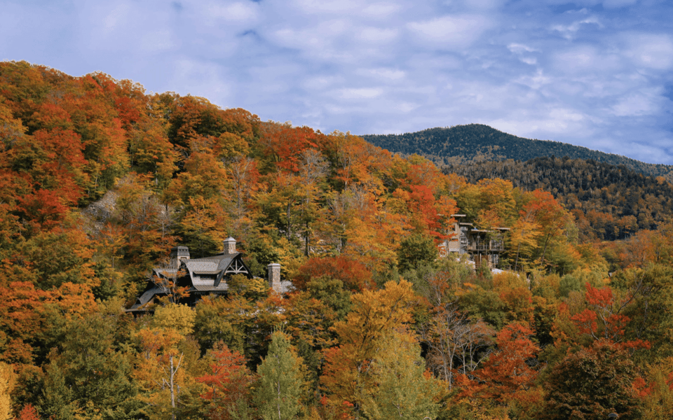 7 Essential Tips for Choosing the Right Home for Your Family in Stowe ...