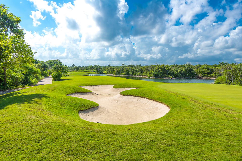 Neighborhood || Grey Oaks Country Club