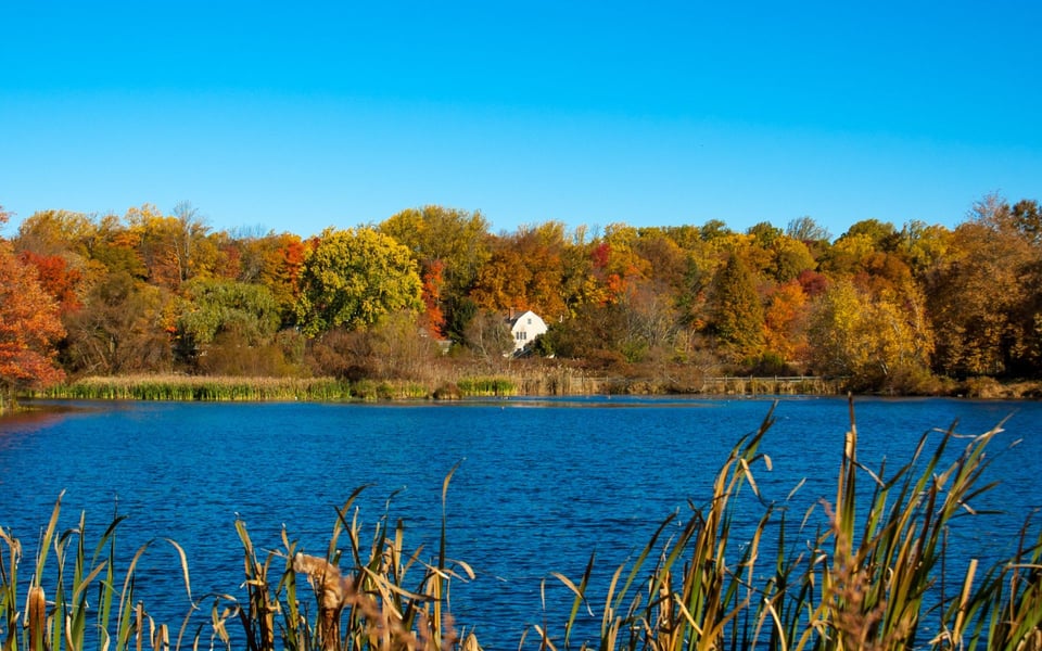 Discover Morristown's Hidden Gems | Blog | The Chaconas Group | The ...
