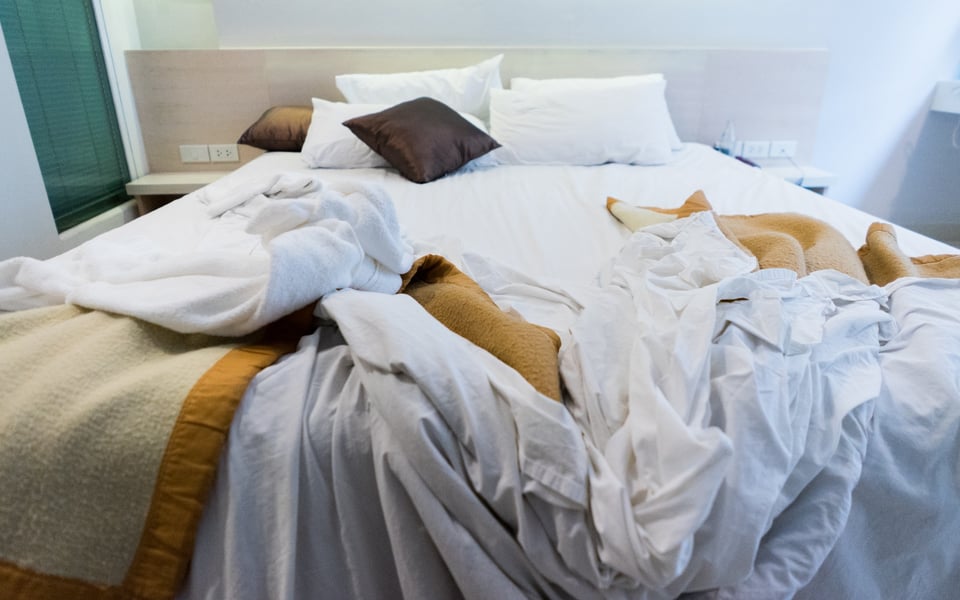 What If You Sleep Tight AND the Bed Bugs Bite? | Robin Kencel Blogs