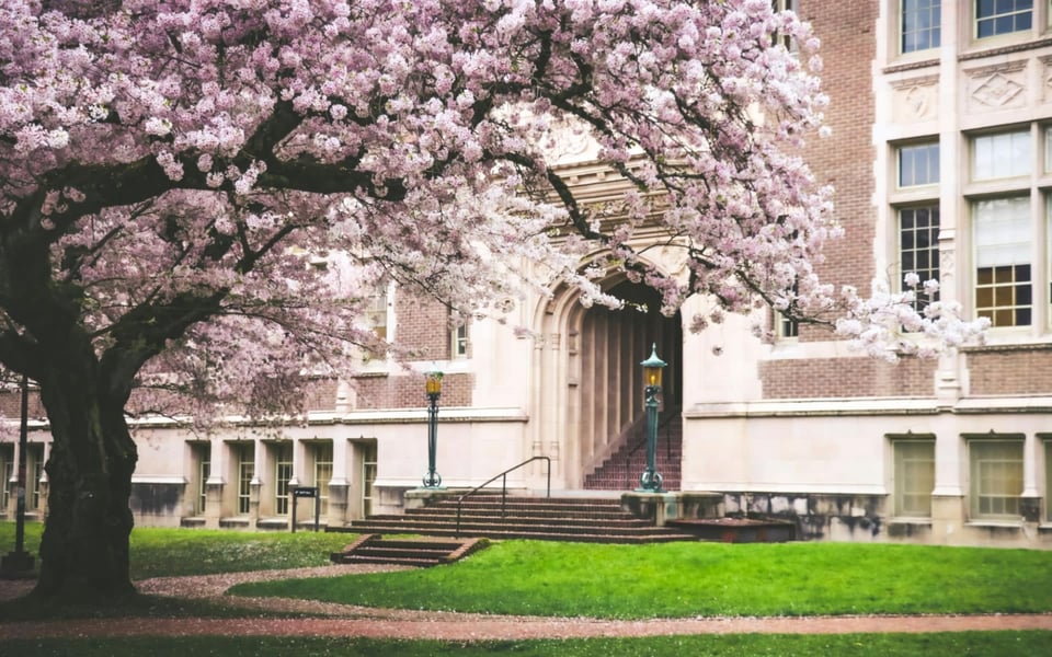 Discovering Washington’s Best-Educated Neighborhoods | Blog | Mary Pong