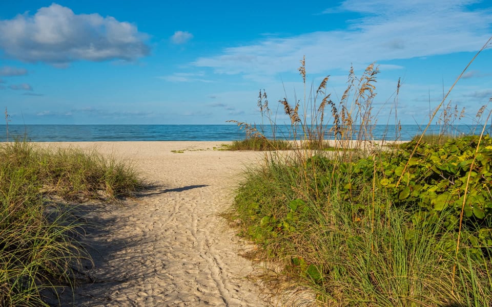 Osprey Real Estate | Neighborhood Guide | Robert Krasow