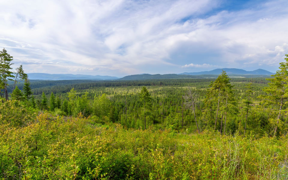 Athol | Neighborhood Guide