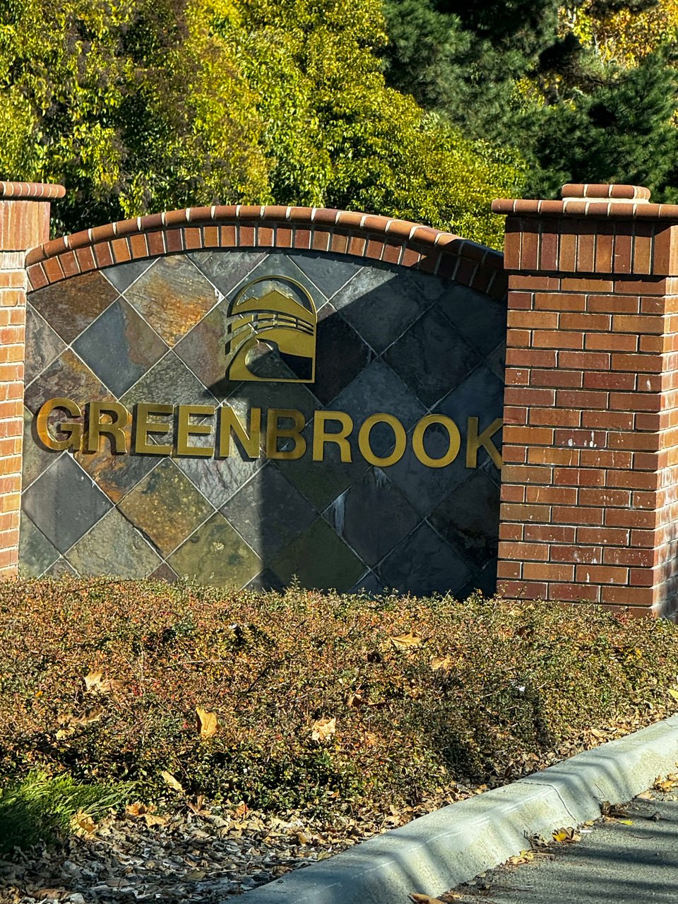 Greenbrook neighborhood-Danville-Rebecca Rook Realtor | Rebecca Rook