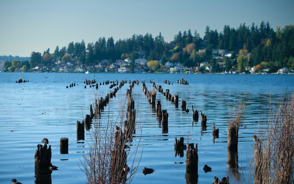 12 Best Neighborhoods to Live in Kirkland | Blog | Mary Pong