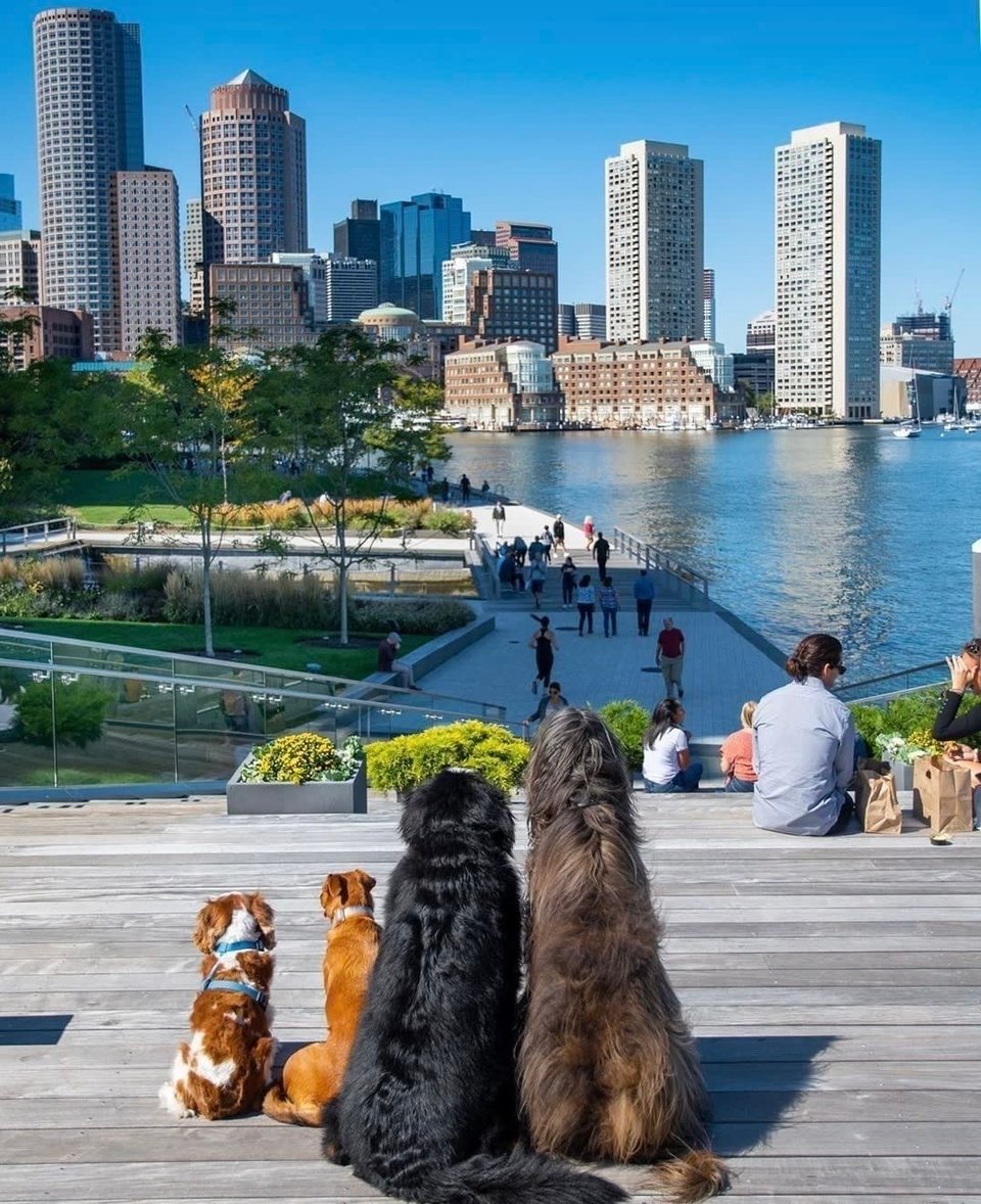 Seaport | Fort Point | Neighborhood Guide